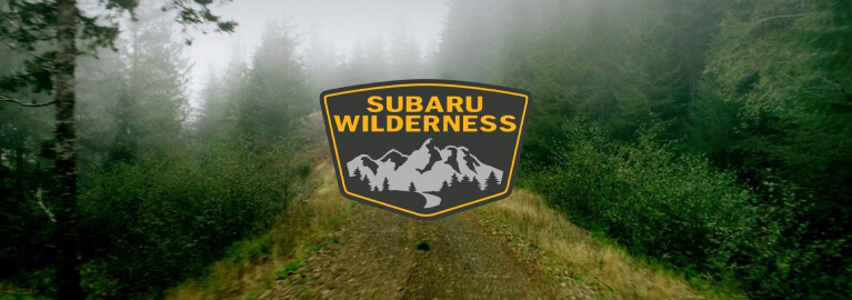 2023 Subaru Wilderness Models | Subaru Lakeland