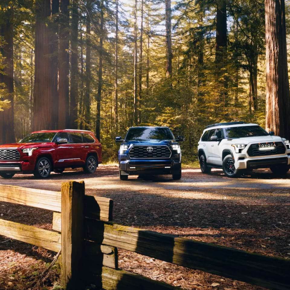 2026 Sequoia | World Toyota