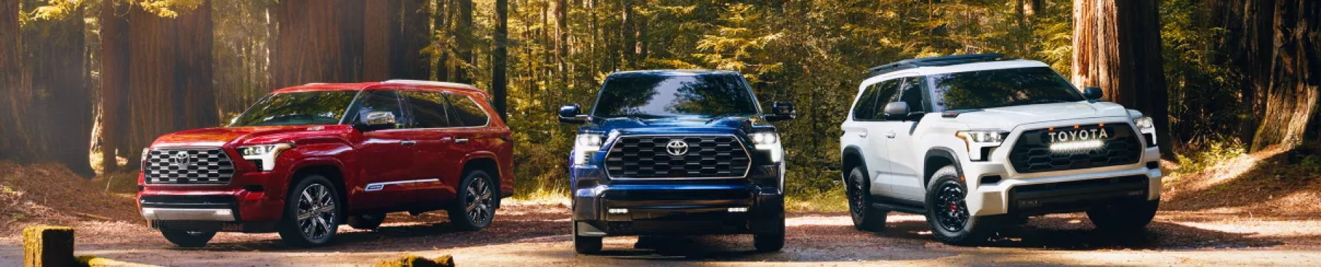 2026 Sequoia | World Toyota